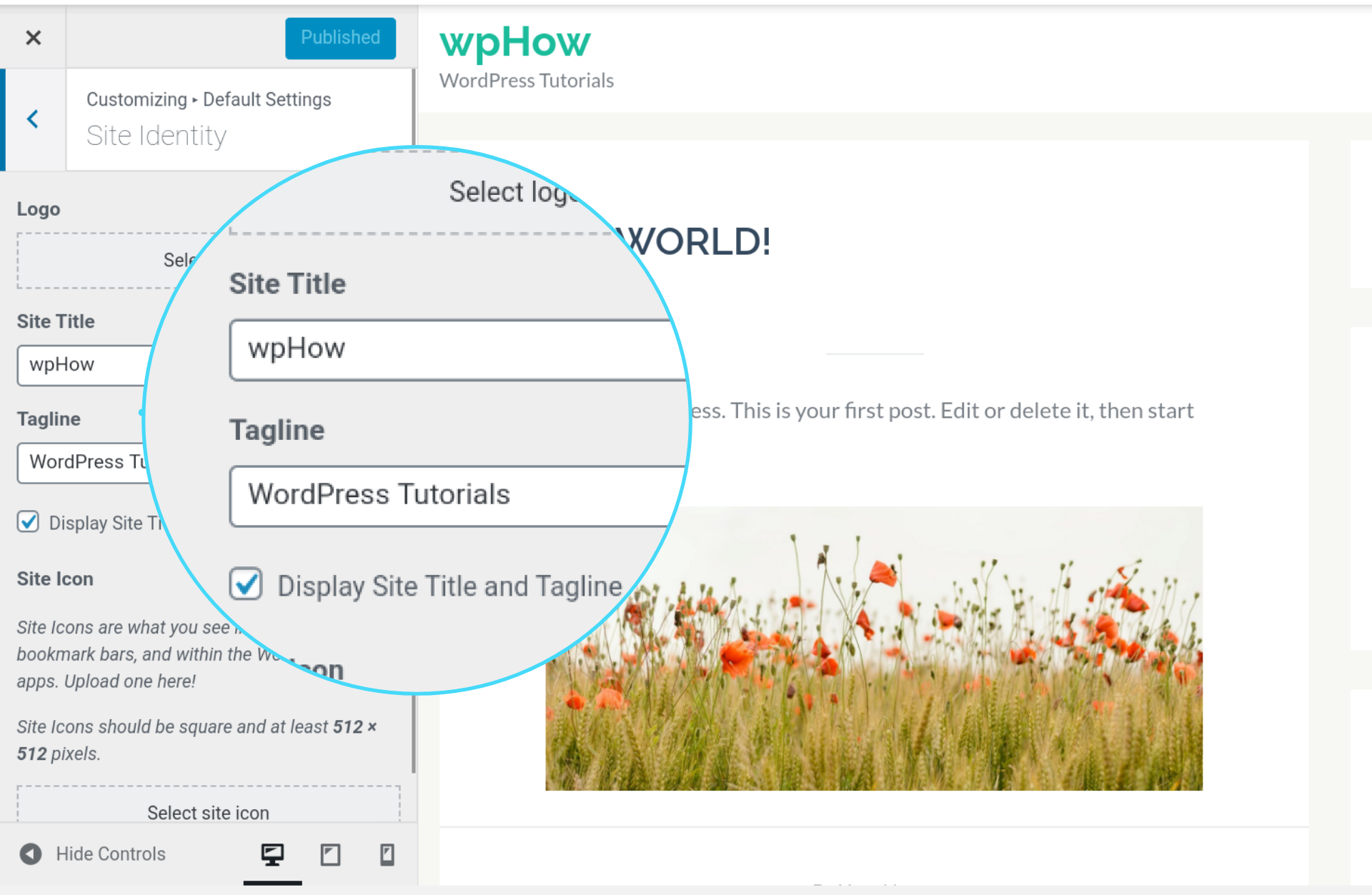  How To Change Site Title In WordPress 5 Easy Steps WpHow